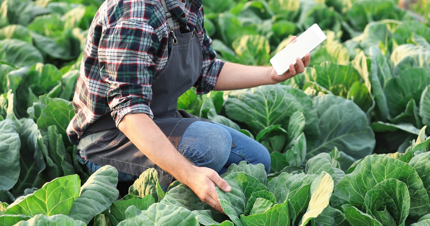 Empowering IoT Champions | About Us | MAVOCO